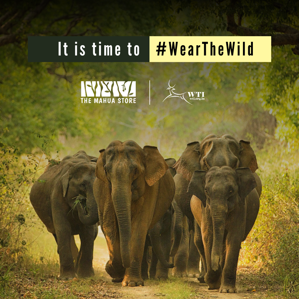 The Mahua Store X Wildlife Trust of India